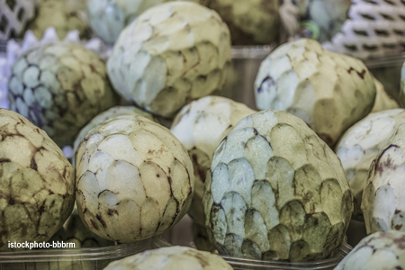 CONFAGRI - Mercado Abastecedor de Santana deve exportar 40 toneladas de ...